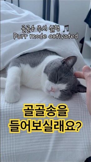 오늘의 치비 Today’s Chibi | 인간은 스크롤, 치비는 시스템 종료Human Scrolls, Chibi Shuts Down