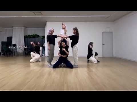 Tri.be - Loro // dance practice ( mirrored)