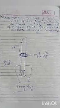 ch- reproduction # class-10#biology👍in one shot # notes##