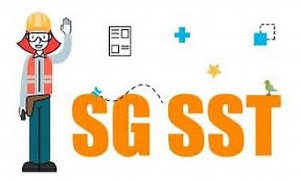 DESARROLLO DE LA GESTION DE PROYECTOS EN SG- SST