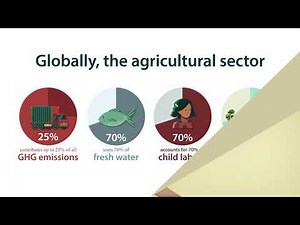 OECD-FAO Guidance for Responsible Agricultural Supply Chains