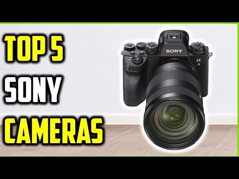 Top 5 Best Sony Cameras of 2025 | Best Sony Cameras Reviewed!