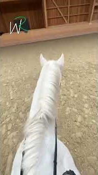 Der Weg beim Reiten Lernen! Das solltest du dir als Reiter immer wieder durch den Kopf gehen lassen