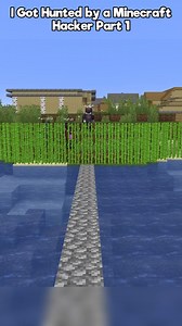 ParrotX2 Clips | I Got Hunted by a Minecraft Hacker Part 1 | Instagram