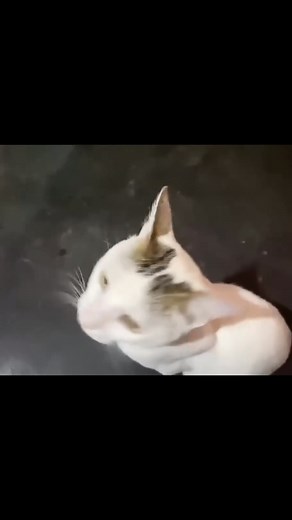 💀🥀 | චමත්🥰 | Instagram