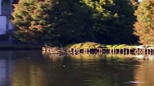 Alborada - Capitulo 53 Completo