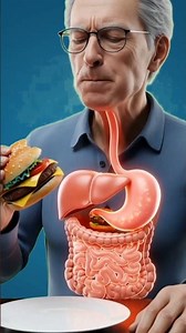 what's happening when you eat burger 🍔 #digestiveprocess #humanbody #3danimation #3d #3danatomy
