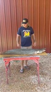 #alligatorgar #cook #clean #ShowUrGrillSkillz #jugeline #ItsGreatOutdoors #louisiana #homemade #cajun #gatordrool #cajuntwostep | Emerson Ellis