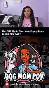 Is your puppy eating too fast? 😅 Check comments for full video & where to purchase 👀 Discover the ONE simple feeding tip that completely changed everything for my puppy's mealtimes! See how slow feeder dog bowls not only prevent fast eating but also provide mental stimulation. Slow feeder dog bowls also help prevent obesity, bloat, and helps improve digestion. Why do dogs eat so quickly, and what are the risks? I break down the reasons behind fast eating and explain the potential health proble