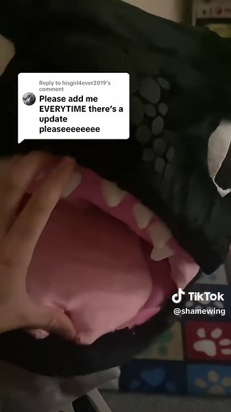 Toothless Costume: Live Action Dragon Costumes Guide