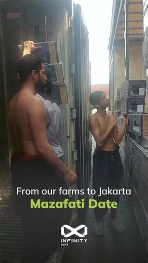 Loading Premium Dates for Export | Infinity Nuts