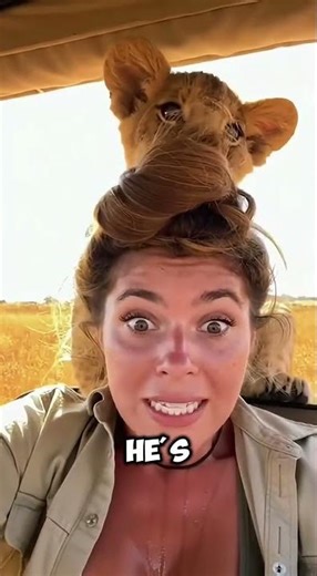 I was trying to explain the migration patterns and then THIS happened. RIP my hair. #safari #lioncub