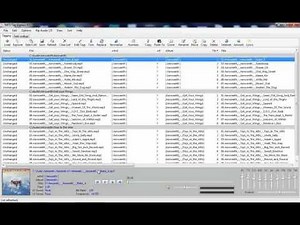 MP3 Tag Express - Trim text from Tags and File Names