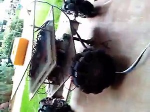 A Robot for Object Transportation using Omni Wheels