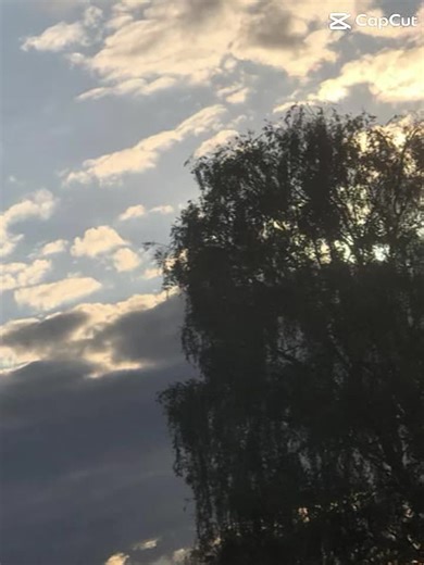 ~ 𝐑𝐎𝐎 🪩🐆🍒🎱 (@le0pardprintz1)’s videos with original sound - its lejaaaa😝