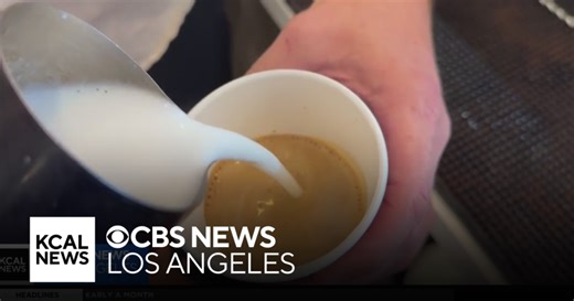 Beanless coffee offers a more sustainable approach to your daily cup of joe