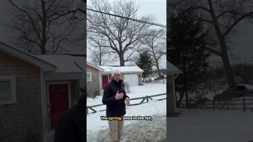 Minimal Maintenance Oak Tree: What I’d Actually Recommend | Couri Leuschner