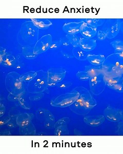 1.2K reactions · 182 shares | Learn how to meditate, whoever and wherever you are.律‍♂️律‍♀️ | BetterMe | Facebook