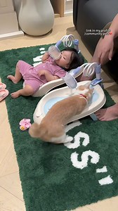 🔹 Hands-Free Convenience: Keep one hand free for cuddles, play, or multitasking while your baby feeds comfortably. 👉Check out now: https://cutt.ly/YecfaoCv 🐶🐱Pet supplies: https://cutt.ly/wwJhMu0j #cute #baby #petslover #babygirl #newparents | DHgate