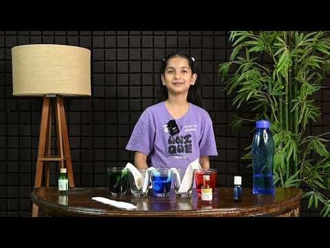 Capillary Action Experiment | Easy Science Project for Kids | Shiv Nadar School Student