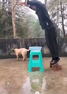 51K views · 644 reactions | Jumping skills | Big4 | Facebook