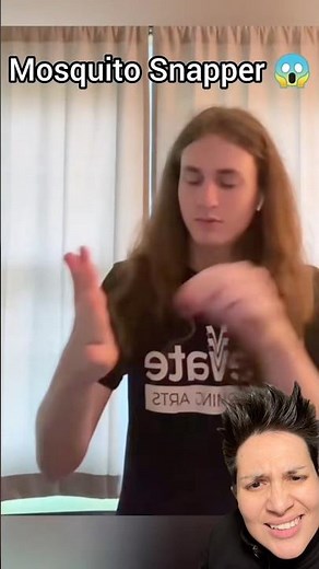 Mosquito snapper tutorial - tel toka kapanı #shorts #toka