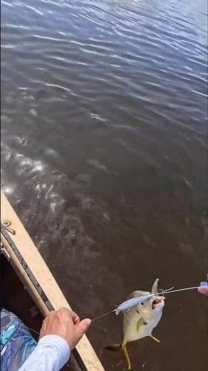 How to use a dehooker to release fish without touching them. #dehooker #fishing