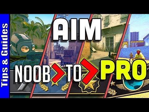 4 Levels of Aim : Beginner to Pro