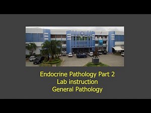 Endocrine system gen path part 2