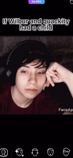 If Quackity and Wilbur Soot Were Your Parents