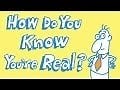 How Do You Know You're Real?