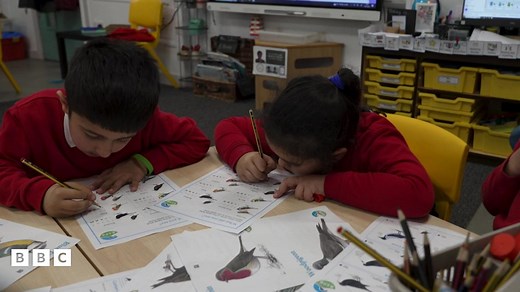 What's the RSPB's Big Schools' Birdwatch?