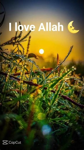 Prophet muhammad, 99 names of allah, islamic miracles, islam