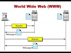 World Wide Web (WWW) in Data Communication and Networking