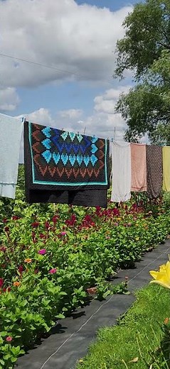 An Actual Amish Quilt .personal use