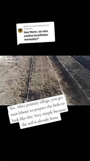 Replying to @samsonkipruto1 drip bed preparation #smartfarming #driplineirrigation #follow #followme #buttonirrigatiom #agriculture #africa #africantiktok #farmingforthefuture #onionfarming #onionfarming #drip @Emma💜❤️ @Afrodrip limited #viral#foryoupage #foryou