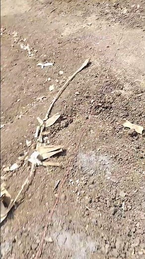 Earth Resistance Testing | Available on IndiaMART