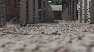 Do content regulations create boundaries in the seemingly boundless online universe? These questions are tied to larger debates over who has the power to regulate online content. Join Nicole Scott as she takes a deep dive into the technical foundations that fuel the internet's engine. | IONOS