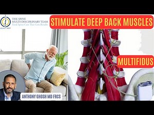 Multifidus Muscle Stimulation: A New Way to Treat Chronic Back Pain