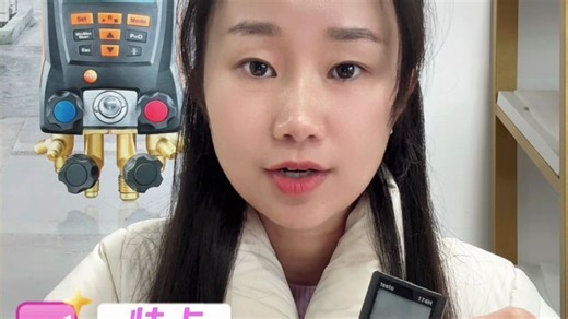 德图温湿度记录仪testo 174H--外观、特点