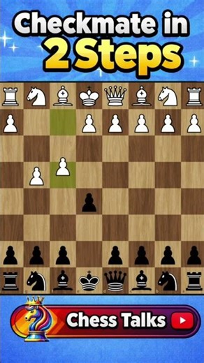 Checkmate in 2 steps