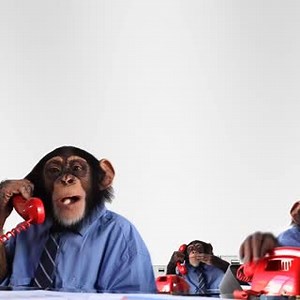 Human Resource management (HRM) Training / Certification High quality learning materials with lectures For more info: http://bit.ly/2OfJtJd What’s App: 971503068426 #hrm #humanresourcemanagement #management #strategicobjective #rewarding #dubai #uae #sharjah #zabeelinstitute | Zabeel International Institute