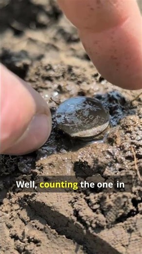 Half Dimes are RARE finds while metal detecting #metaldetecting #treasuresearch #metaldetector