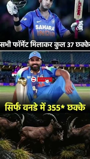 #cricket #shortsfeed #cricketshorts #shorts #shortsvideo #ytshorts #ipl