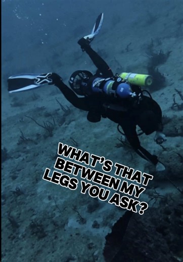 Lasers and fish go hand-in-hand! Plus there’s light down there gosh darn it! I’m gonna prove it!! #SlayEatRepeat #Relaxing #InvasiveSpeciesRemoval #laserfish #fishlovelasers @Alex Borsutzky @Nathaniel Sorensen @ZooKeeper @Diveforcee