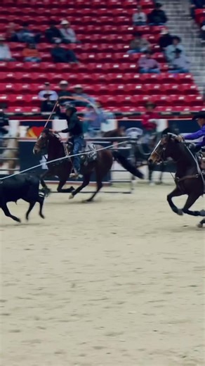 Thank you Neal & Jody Wanless for the opportunity to ride such a cool horse! “Squirt” will be going to the big jackpots and shows his 6 year old year I can’t wait!! 🐴 @Jody Gilson @fast@CINCH @Prohats @UnderwoodHorseMedicine @Best Ever Custom Saddle Pads @Tolleson Mack Podcast @The Team Roping Journal #jesus🙏🏼