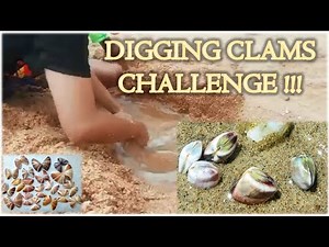 HOW TO FIND CLAMS ON THE BEACH