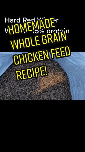 DIY Whole Grain Chicken Feed Recipe