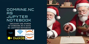 🎀 Domaine.nc data as Jupyter on Kaggle 📊