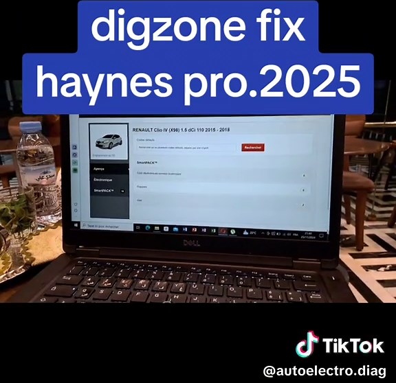 Haynes Pro 2025: Fixing Digzone Issues Easily